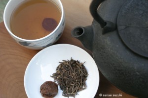 Bancha Twig Tea (Kukicha)