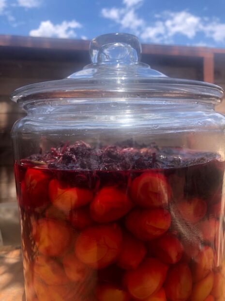 Santa Monica Homemade Umeboshi Plums